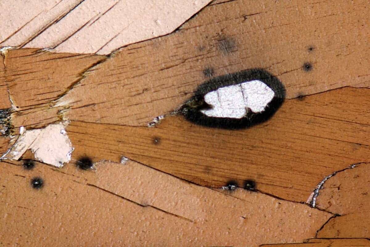 Datation Radiométrique – Age des Roches, Fossiles, de la Terre et de l ...