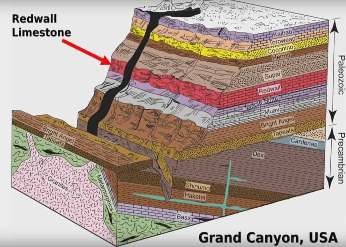 Les couches géologiques et les fossiles témoignent-ils de l’évolution ...