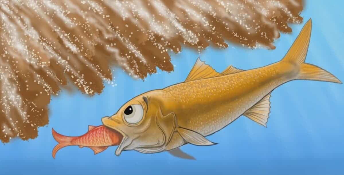 Les couches géologiques et les fossiles témoignent-ils de l’évolution ...